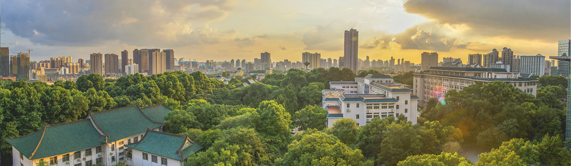 sebms_study_admin_web